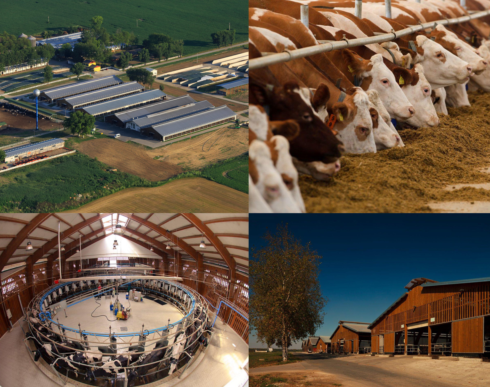 Govedarstvo – VUPIK plus d.o.o.