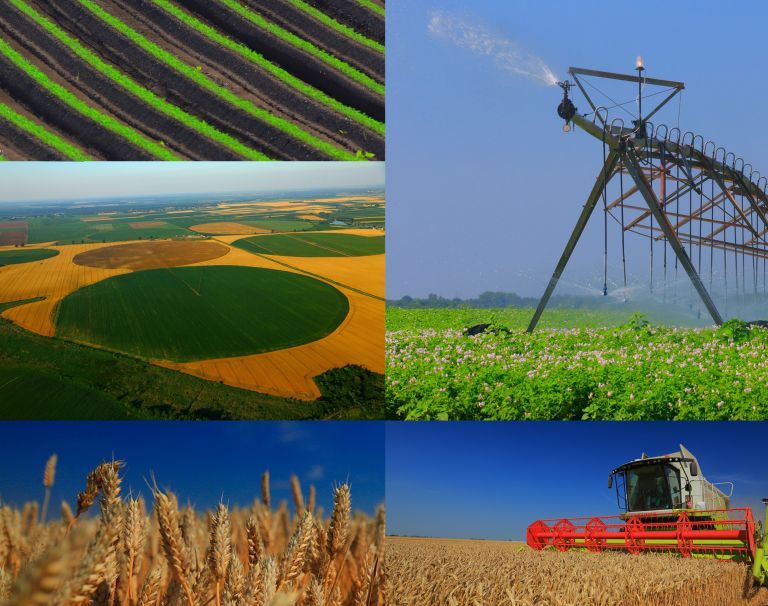 Ratarstvo i povrtlarstvo – VUPIK plus d.o.o.